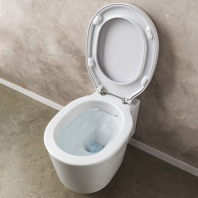 Buy Scarabeo toilets online at REUTER
