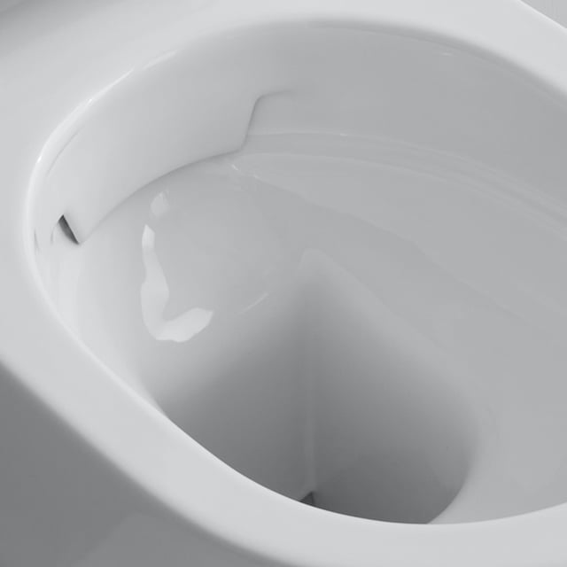 Buy Scarabeo toilets online at REUTER